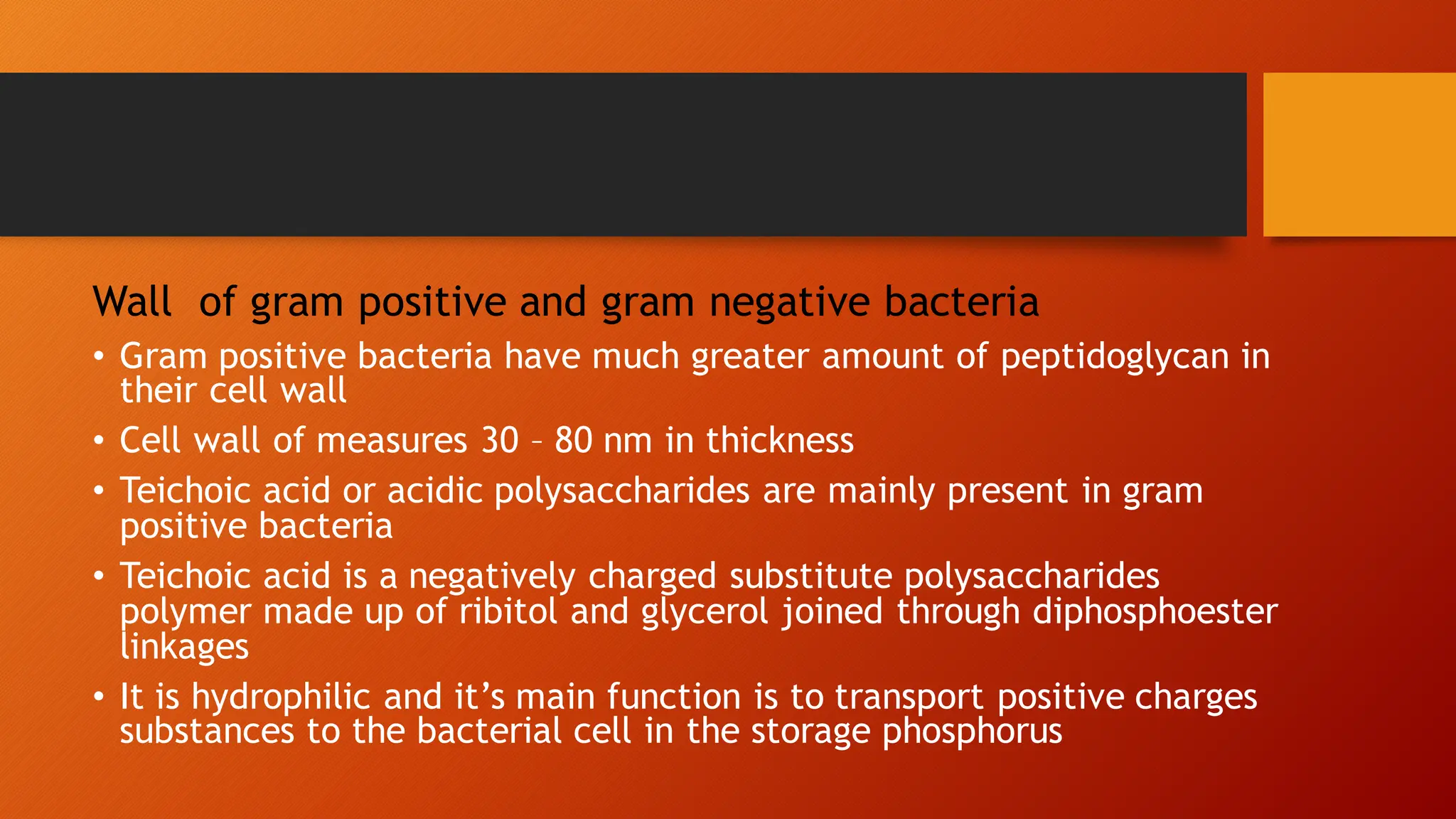 Ultra structure of Bacteria....... | PDF