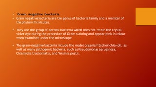 Ultra structure of Bacteria....... | PDF