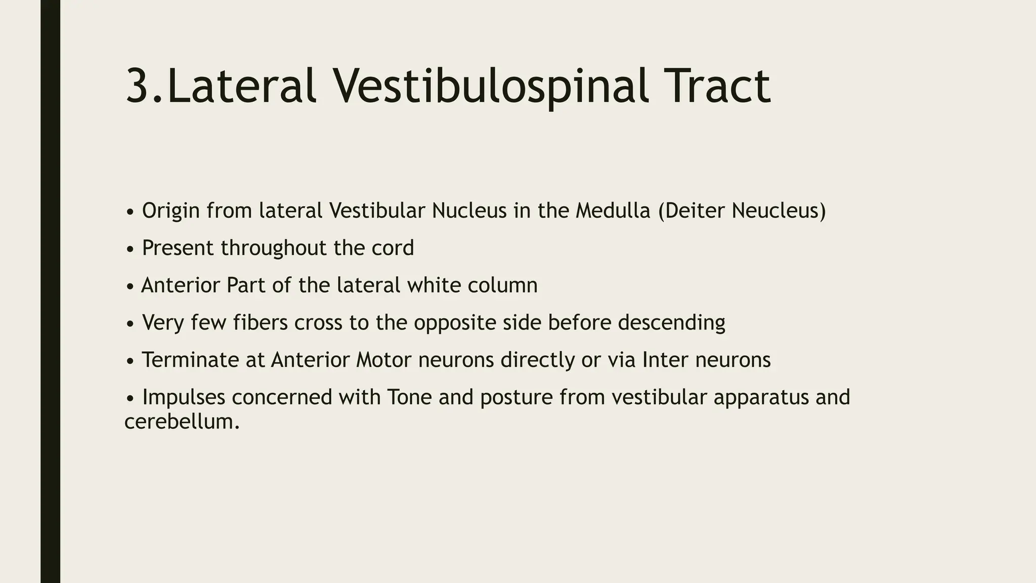 presentation about descending tractshsbshzbs | PPTX
