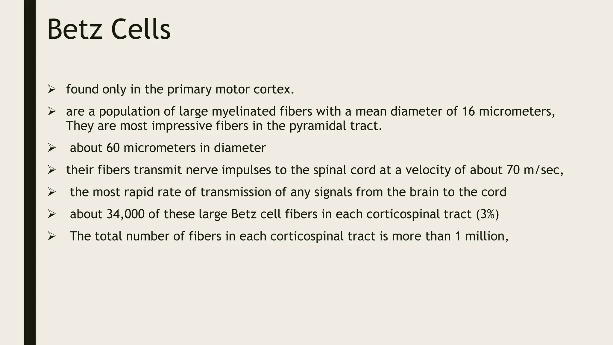 presentation about descending tractshsbshzbs | PPTX