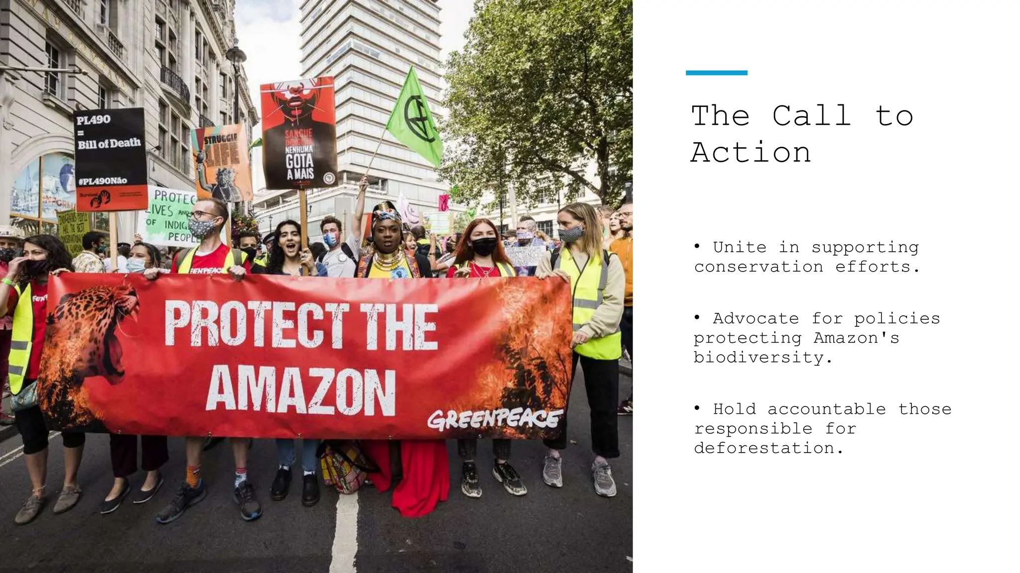 Saving the Amazon Rainforest: Preserving our planet's green lung | PPTX