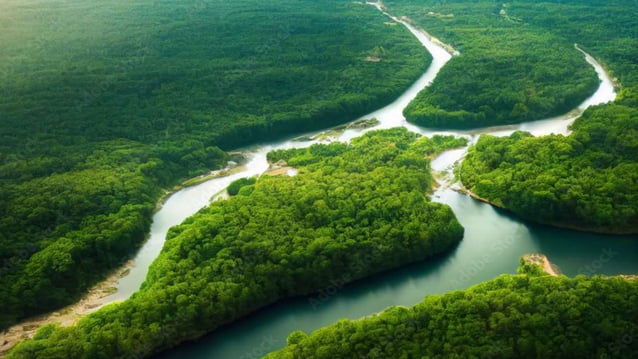 Saving the Amazon Rainforest: Preserving our planet's green lung | PPT