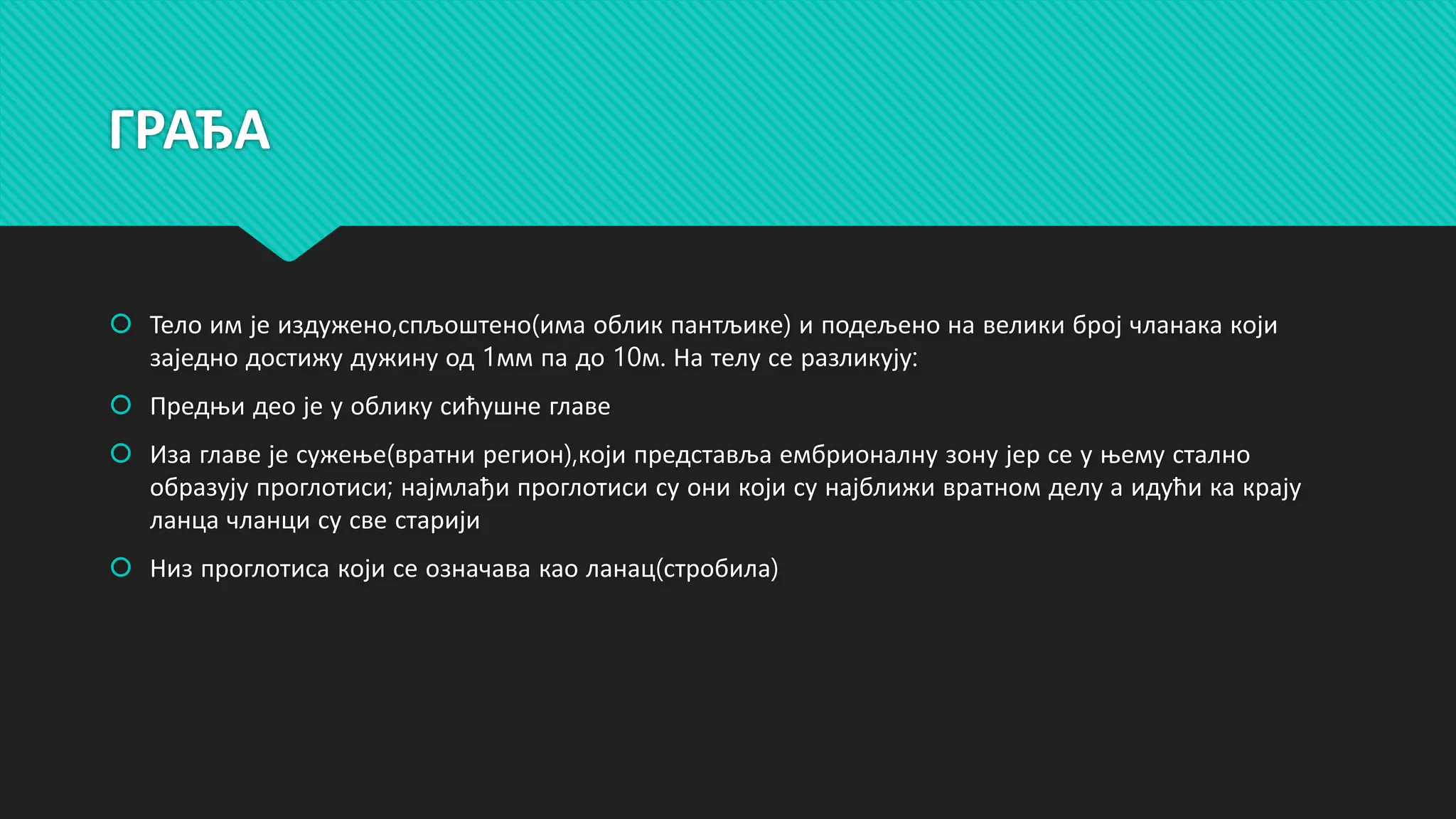 Presentation of a life cycle of tapeworms | PPTX