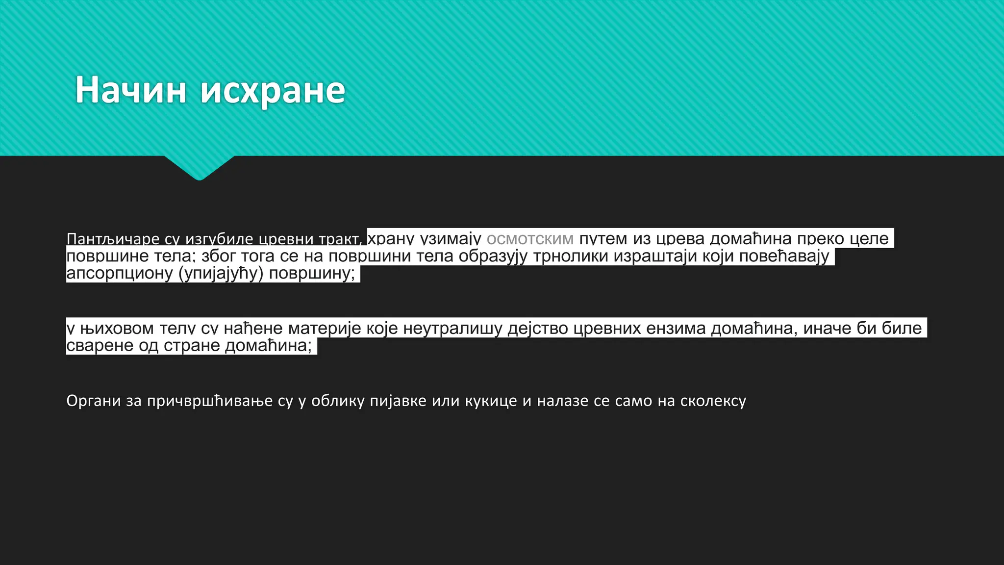 Presentation of a life cycle of tapeworms | PPTX