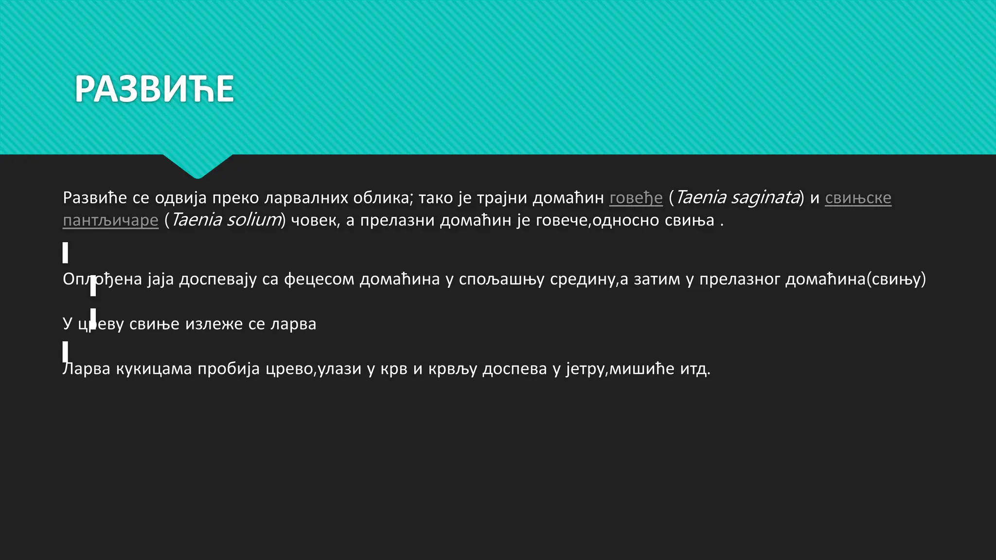 Presentation of a life cycle of tapeworms | PPTX