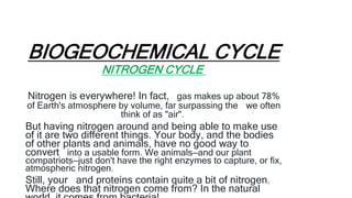 Biogeochemical cycle human development of environment | PPT