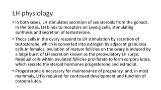 Presentation.pptx about LH physiology and mestrual cycle | PPT
