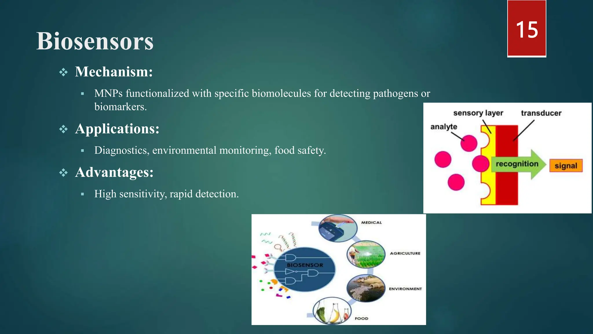 Green Synthesis of Magnetic Nanoparticles and Their Biological ...