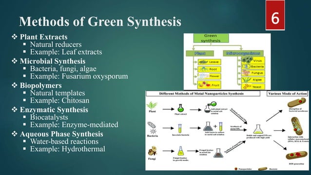Green Synthesis of Magnetic Nanoparticles and Their Biological ...