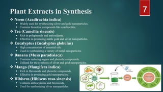 Green Synthesis of Magnetic Nanoparticles and Their Biological ...