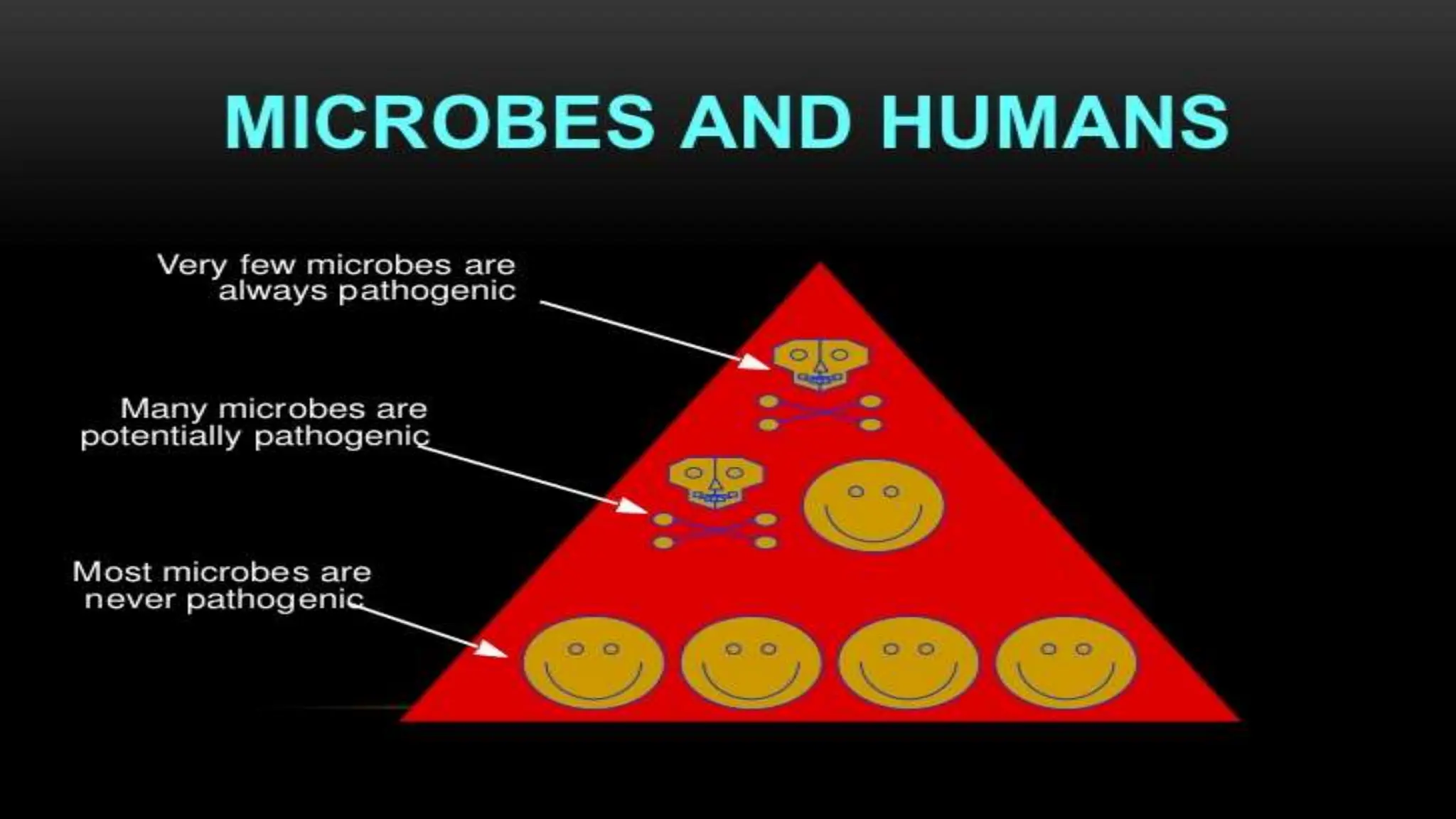 presentationpresentation n/apresentation.pptx