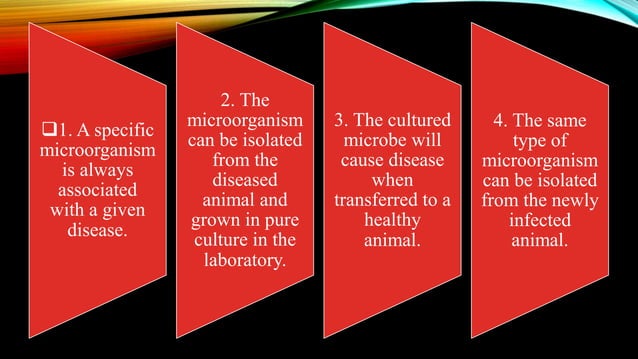 presentationpresentation n/apresentation.pptx