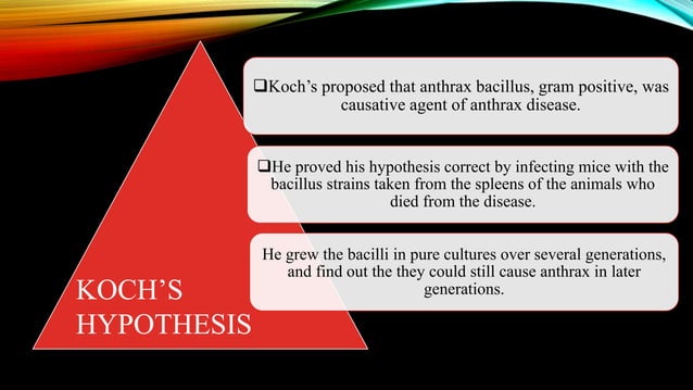 presentationpresentation n/apresentation.pptx