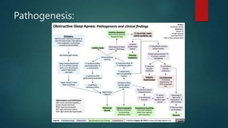 Obstructive sleep apnea (OSA) and Obesity hypoventilation syndrome (OHS ...