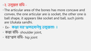 संधि शारीर presentation.pptx rachana sharir | PPT