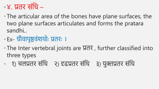 संधि शारीर presentation.pptx rachana sharir | PPT
