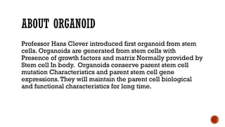 Organoid 3 d materials. New tiquenice for | PPT