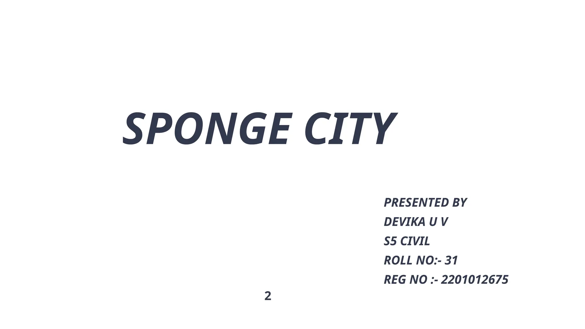 presentation ...pptx Sponge City By CE Student | PPTX