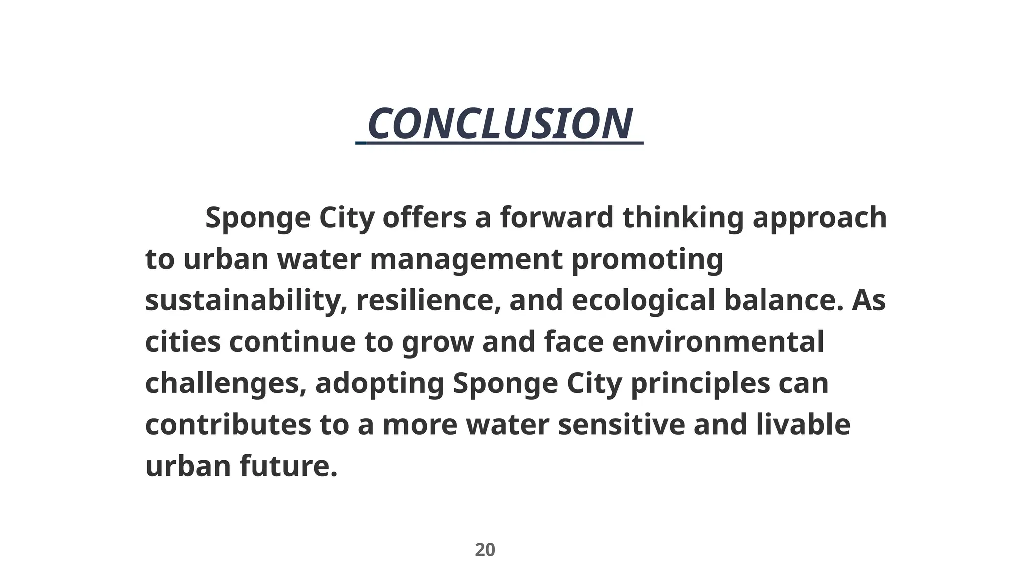 presentation ...pptx Sponge City By CE Student | PPTX