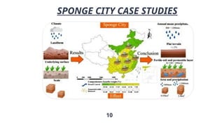 presentation ...pptx Sponge City By CE Student | PPTX