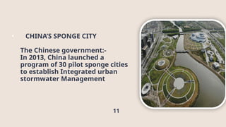 presentation ...pptx Sponge City By CE Student | PPTX