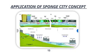 presentation ...pptx Sponge City By CE Student | PPTX