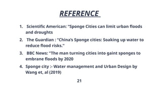 presentation ...pptx Sponge City By CE Student | PPTX