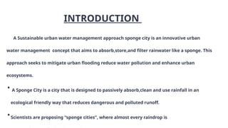 presentation ...pptx Sponge City By CE Student | PPTX
