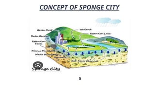 presentation ...pptx Sponge City By CE Student | PPTX