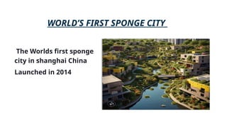 presentation ...pptx Sponge City By CE Student | PPTX