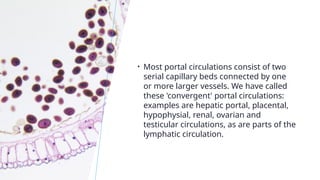 Presentation for the students education.pptx