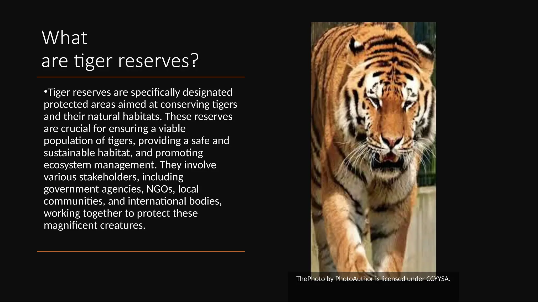 TIGER RESERVES: THE SAVIORS OF BIODIVERSITY | PPTX | Science