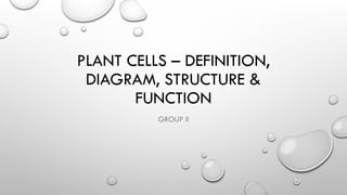 Presentation Plant Cells Definition, Structure | PPT