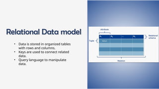 Database Models and their types in Database.pptx