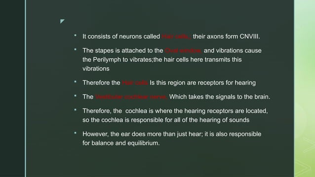 Presentation.pptx antonyms of human ear | PPTX