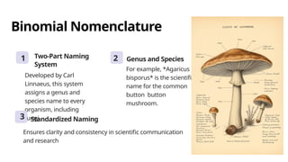 Nomenclature and classification of microorganisms | PPT