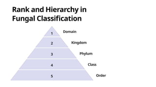 Nomenclature and classification of microorganisms | PPTX