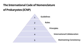 Nomenclature and classification of microorganisms | PPT