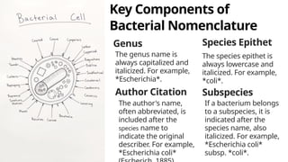 Nomenclature and classification of microorganisms | PPTX