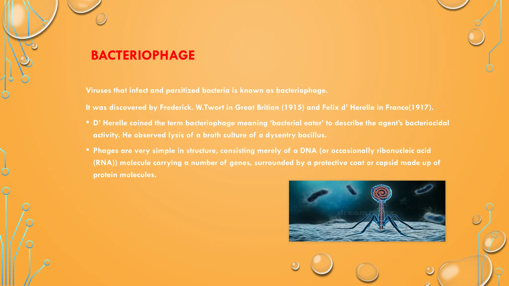 Bacteriophage (Virology) presentation.pptx