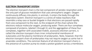 MAJOR FEATURE OF GLYCOLYSIS, KREB CYCLE, ELECTRON TRANSPORT CHAIN | PPTX