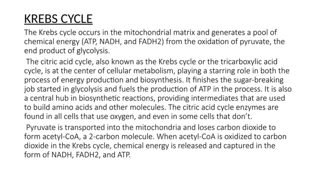MAJOR FEATURE OF GLYCOLYSIS, KREB CYCLE, ELECTRON TRANSPORT CHAIN | PPTX