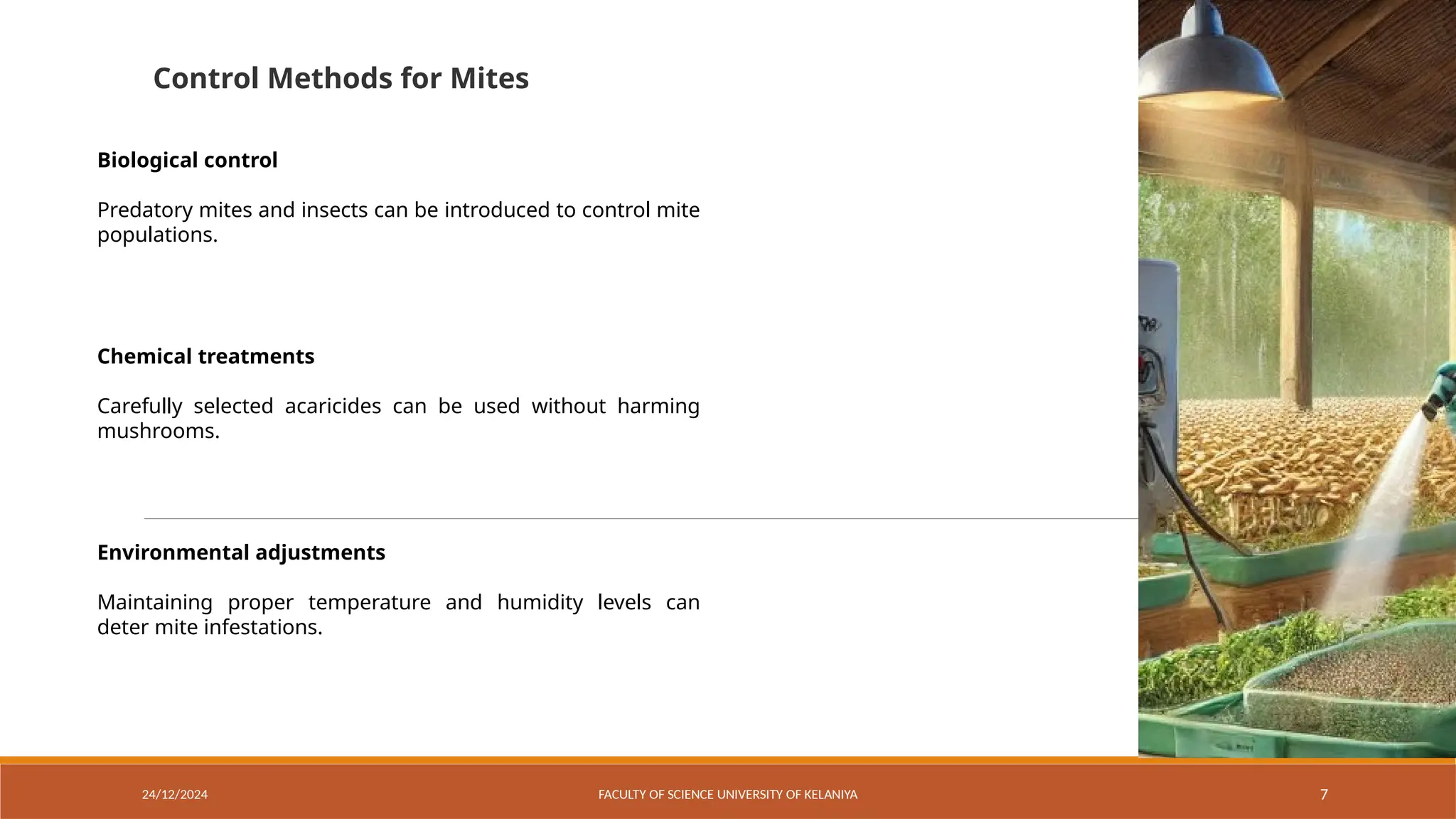 Comprehensive Guide to Mites in Mushroom Cultivation and Management | PPTX