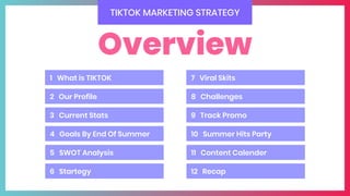 Comprehensive TikTok Marketing Strategy - Leadcrew | PDF