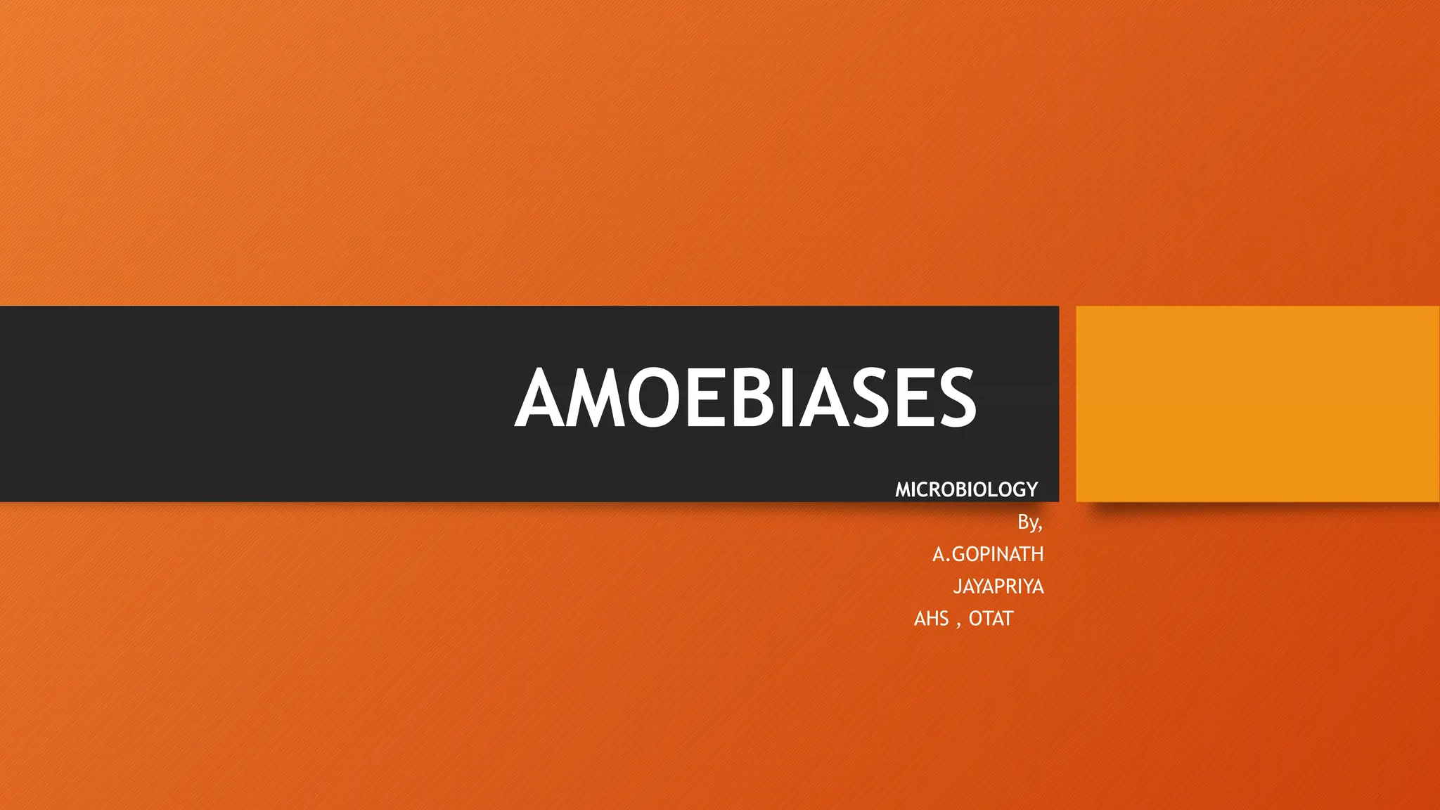 Presentation.ppt full explain about amoebiasis diseases | PPTX