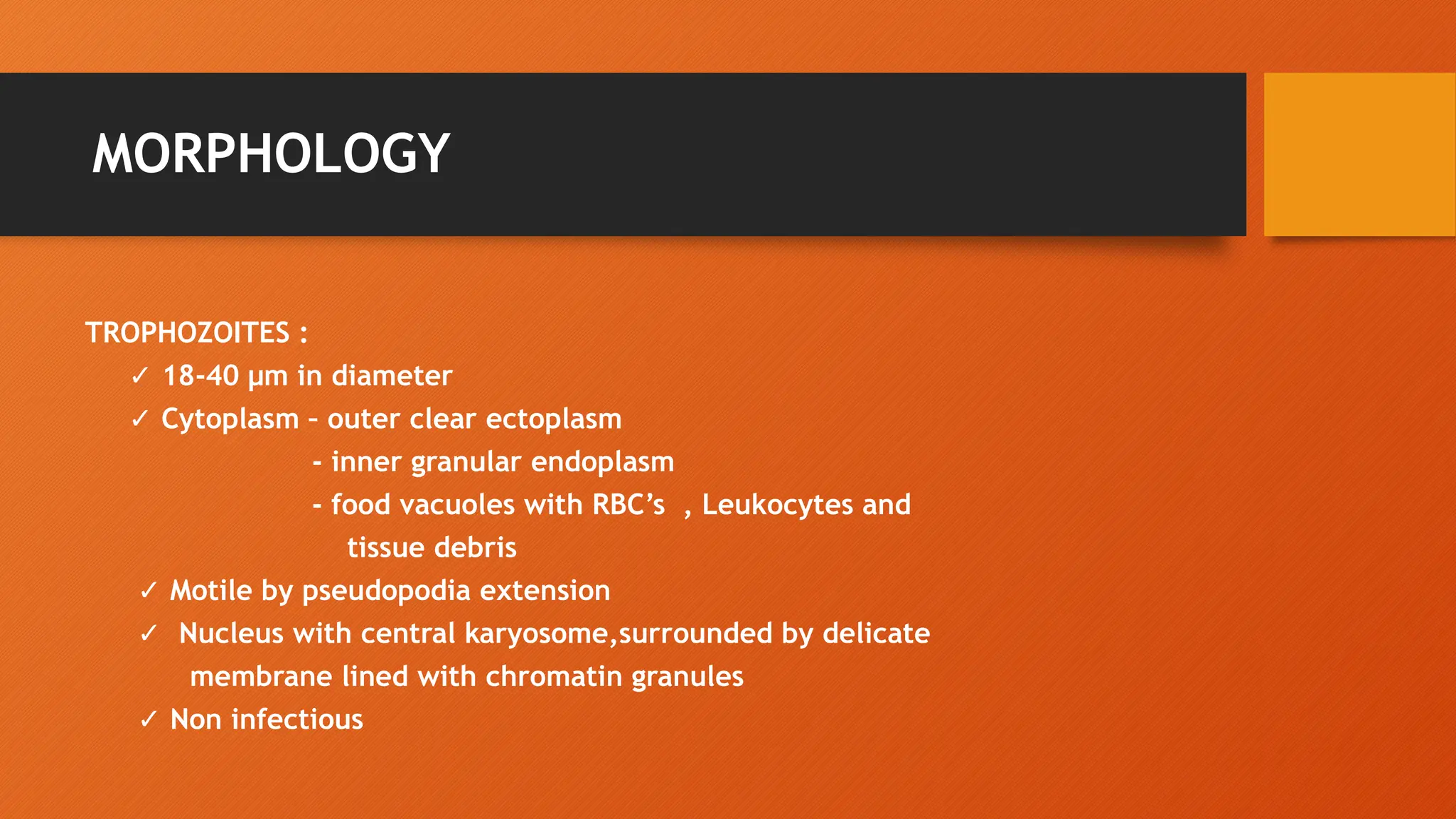 Presentation.ppt full explain about amoebiasis diseases | PPTX