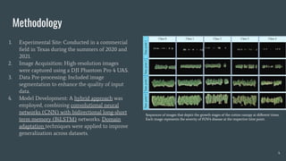 Assessing fusarium oxysporum disease severity in cotton using unmanned aerial system images and ...