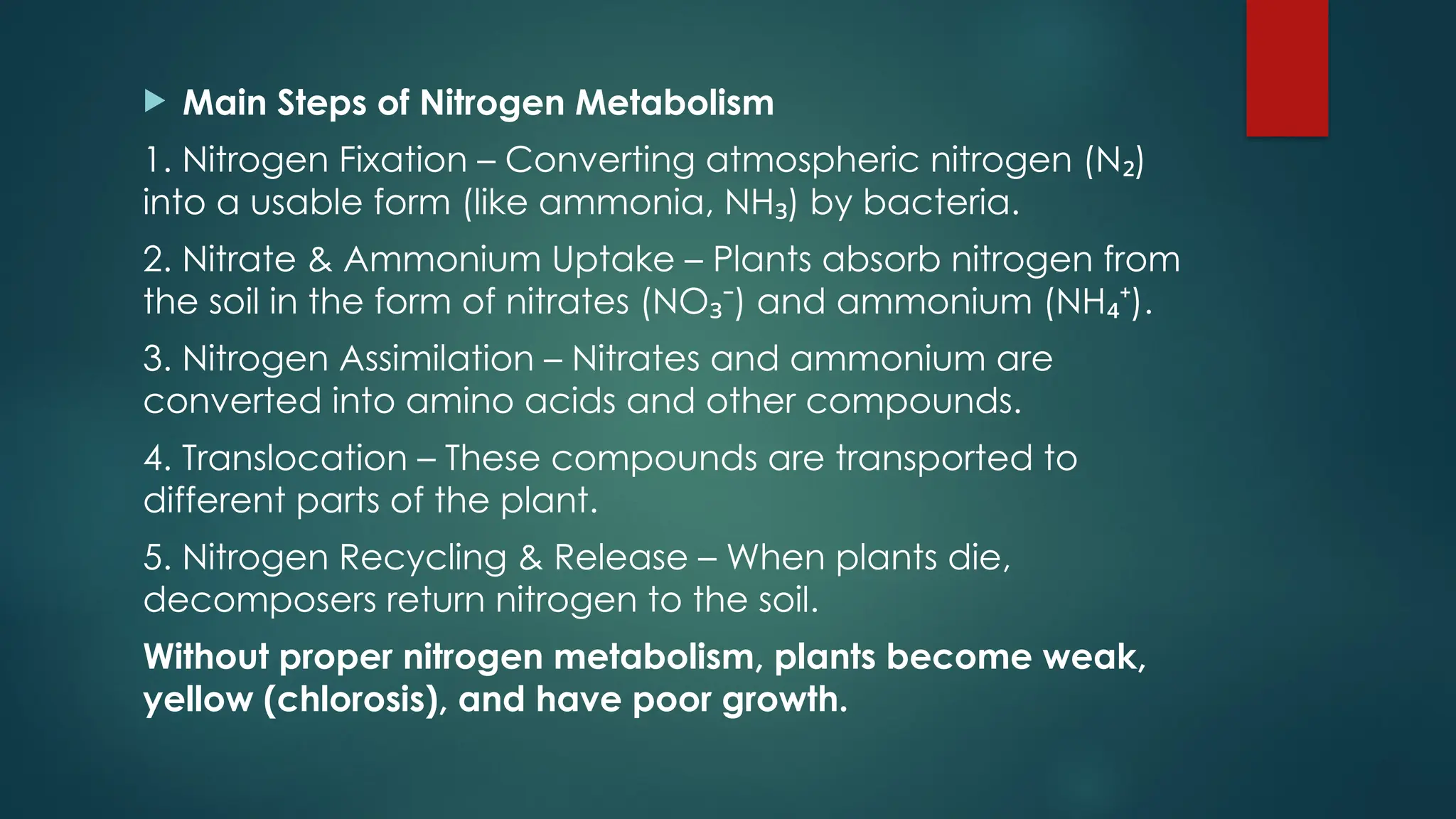 Effect of infection in Nitrogen metabolism | PPTX