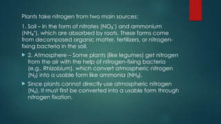 Effect of infection in Nitrogen metabolism | PPTX
