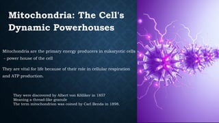General introduction to mitochondria and its functions | PPTX